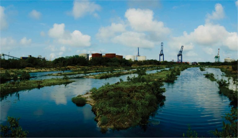 PUERTO DE ALTAMIRA, COMPROMETIDO CON EL MEDIO AMBIENTE – ASIPONA Altamira